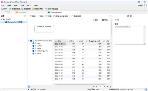 使用 Navicat Bi 解锁数据的力量