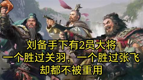 刘备手下有2员大将，一个胜过关羽，一个胜过张飞，却都不被重用 Youtube