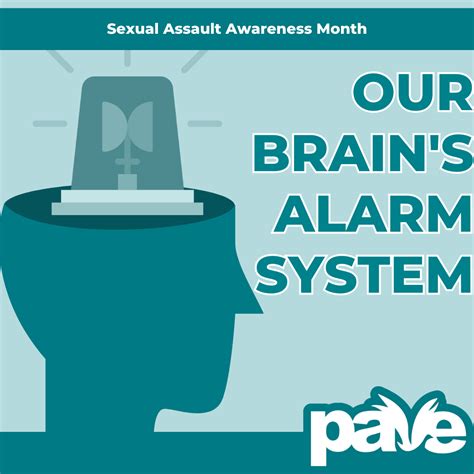 The Amygdala Our Brains Alarm System — Pave