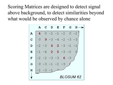 PPT Sequence Alignment And Approaches To Database Searching
