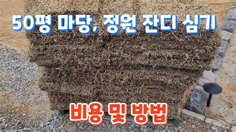 50평 마당정원에 잔디 심는 방법 비용 Youtube