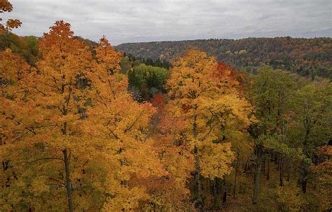 10 Things To Do In Sigulda Latvia The Crowded Planet