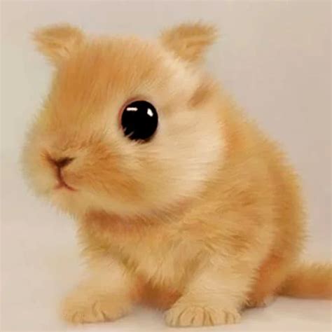 Картинки 500 на 500 66 фото