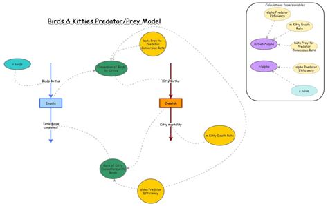 vole and red tailed hawk predator prey model insight maker