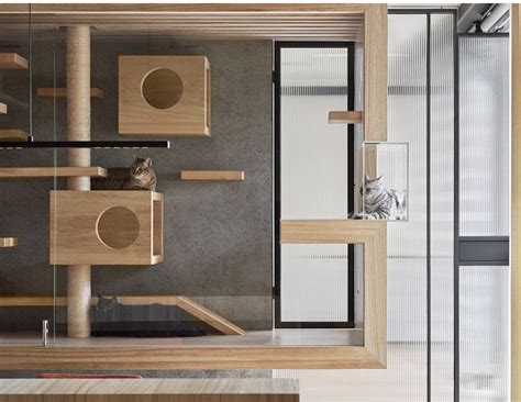 Modern Cat Furniture Provides Luxury Lounge Room For Fancy Felines