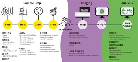 【获解决方案 赢好礼】瑞孚迪类器官应用方案，加速药物筛选与疾病研究！