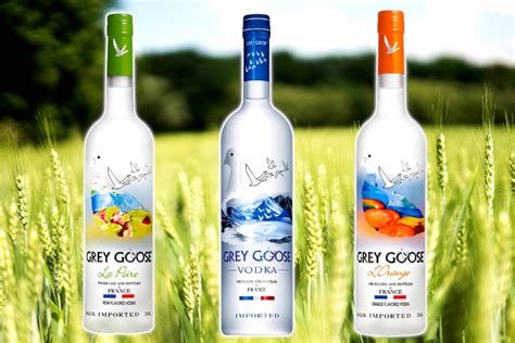 7 Best Grey Goose Vodkas From France With Love Drinks Geek