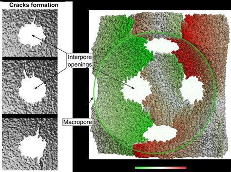 Typical Formation Of Cracks At Interpore Openings Illustrated For The