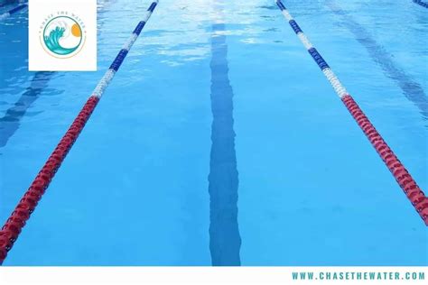 Public Swim Vs Lane Swim What Is The Difference Chase The Water