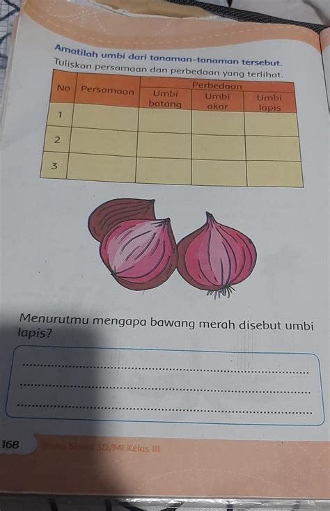 Kunci Jawaban Tema 1 Kelas 3 Bupena 26 Kunci Jawaban Tema 1 Kelas 3