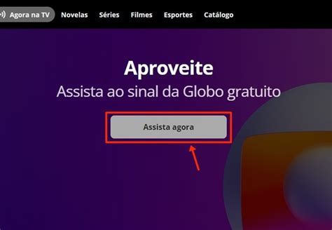 Bragantino x Botafogo ao vivo onde assistir ao jogo do Brasileirão online