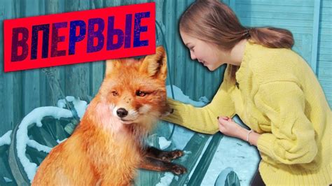 ВПЕРВЫЕ: большая ЛИСА // день с Лисом - YouTube