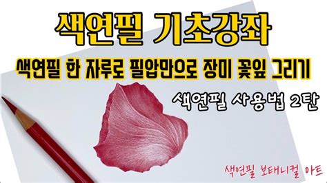 색연필 기초강좌 색연필 한 자루로 장미 꽃잎 그리기 색연필 사용법2탄 색연필 보태니컬아트 기초 Colored Pencil