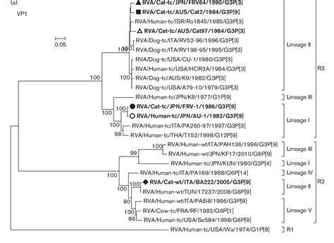 Figure 1 From Whole Genotype Constellation Of Prototype Feline