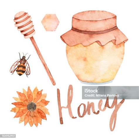 수채화 일러스트세트는 손으로 그린 꿀 항아리 숟가락 꿀벌 꽃 벌집 흰색 배경 위에 격리 가을 수확 0명에 대한 스톡 벡터 아트 및 기타 이미지 Istock