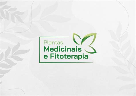 Plantas Medicinais Portuguese Edition Silva Andressa Cavalcante