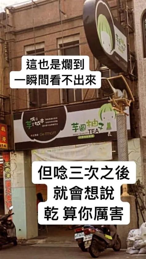 谐音梗真的很好笑我脑子会自动播放！