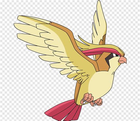 Pokémon Go Pidgeotto Pokémon Types Pidgey Hand Galliformes Png Pngegg