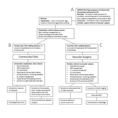 Intermittent Claudication National Pathway Right Decisions