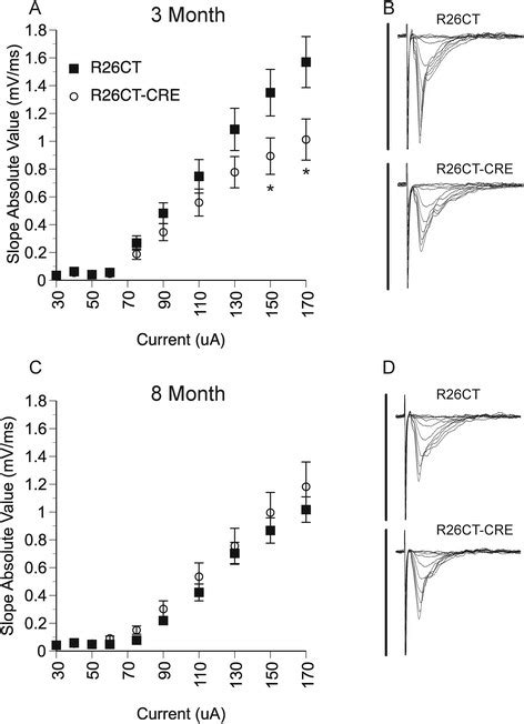 Field Excitatory Post Synaptic Potentials Fepsp Recorded From The