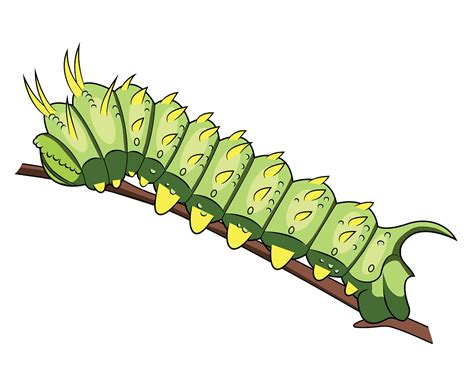 毛虫 イラスト フリーイラスト素材いらすとや JP