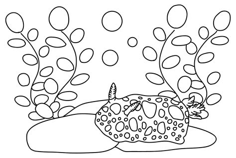 Free Sea Slug Coloring Page Free Printable Coloring Pages