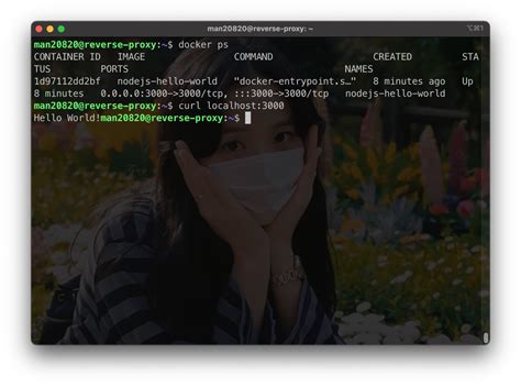 NGINX As A Docker Reverse Proxy TKJPedia
