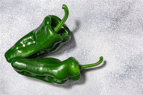 칠레 포블라노 고추는 회색 질감의 배경 평면도 복사 공간 위에 있습니다 설 익은 안초 고추 고추 연간 과일 0명에 대한 스톡