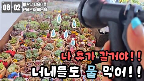 휴가 떠나기 전 다육이들 시원하게 전체관수 해줘요🫧🚿 이게 얼마만에 물샤워야~~😆 Youtube