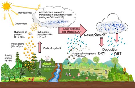 Aerosols In The Atmosphere