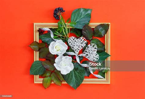발렌타인 데이를 위한 밝은 오렌지 벽에 빈티지 나무 프레임에 녹색 단풍과 하트가 있는 아름다운 흰색 장미 창조적 인 인사말 카드 0명에 대한 스톡 사진 및 기타 이미지