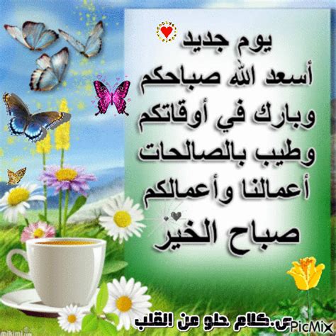 يوم جديد أسعد الله صباحكم وبارك في أوقاتكم وطيب بالصالحات