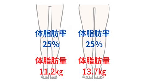 体脂肪率とは？女性の「標準（健康的）」は20～29％ Well Body
