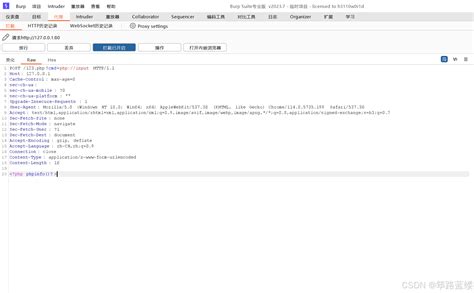 文件包含php伪协议利用方法小皮怎么配置php伪协议访问权限 Csdn博客 文件包含php伪协议利用方法小皮怎么配置php伪协议访问权限 Csdn博客