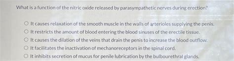Solved What Is A Function Of The Nitric Oxide Released By Chegg