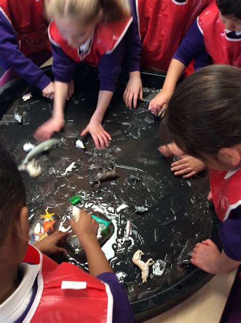 Welcome Back Evergreen Class