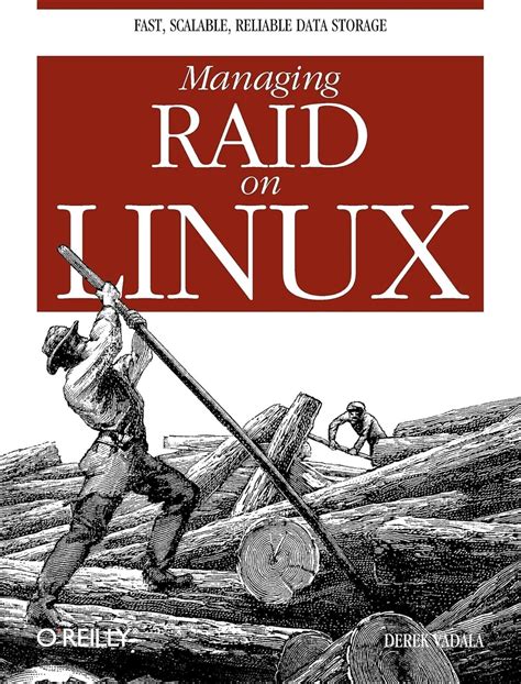 Managing Raid On Linux Fast Scalable Reliable Data Storage Vadala Derek 9781565927308