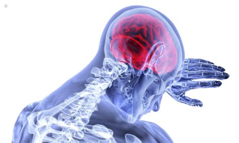 Estudian los efectos de la Hipoxia en las células cerebrales Top Doctors