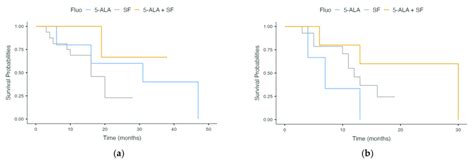 Kaplan Meier Survival Analysis Of Os Stratified For Different