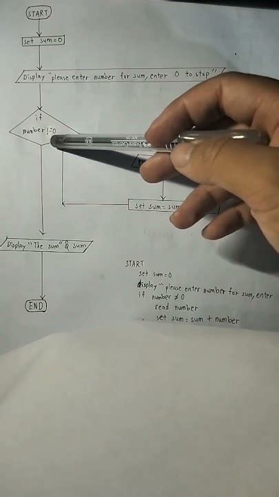 Sentinel Controlled Youtube