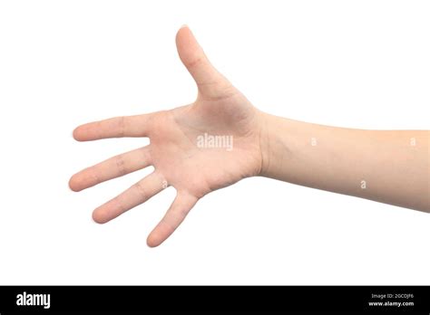 Hand Gesture Palm Open With Five Fingers Isolated On A White