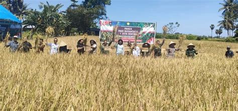 Berita BRMP Penerapan Panen Padi Nusantara 1 Juta Hektar Di Takalar