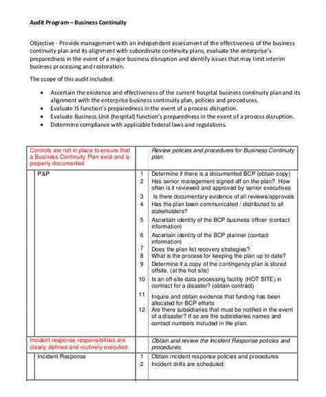 Audit Report Template