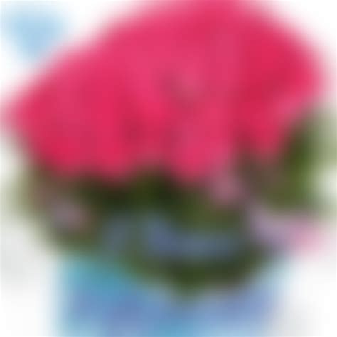 Олічказ Днем народження В цей дорогий для серця день Бажаєм