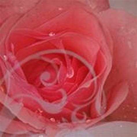 Stream Ismail Alizada Music Listen To Songs Albums Playlists For Free On Soundcloud