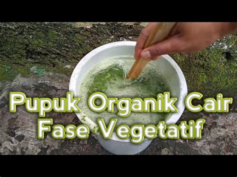 Cara Membuat Pupuk Vegetatif Sinautani