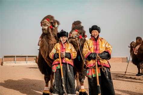 ФОТО Галбын говийн улаан тэмээний баяр Өмнөговь аймгийн Ханбогд
