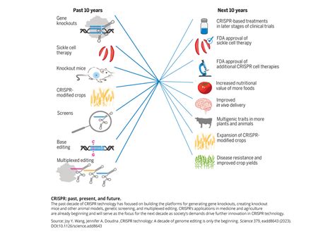 Crispr Gene Editing Applications Are Expanding Dramatically In Agriculture Here Are The Latest