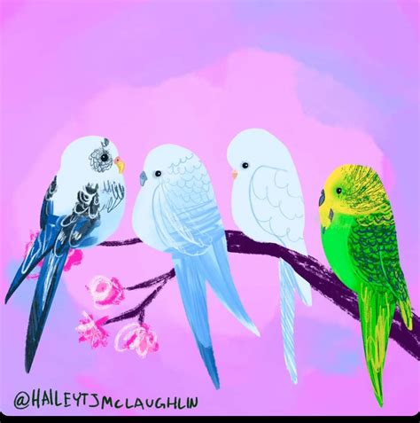 Hailey Mclaughlin Did This Commission Of My Birds And No One Has