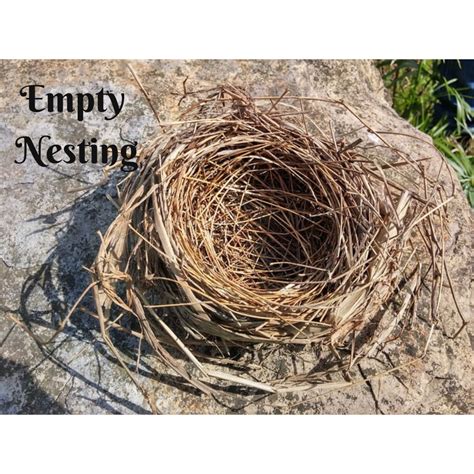 Harvest Lane Cottage Empty Nesting